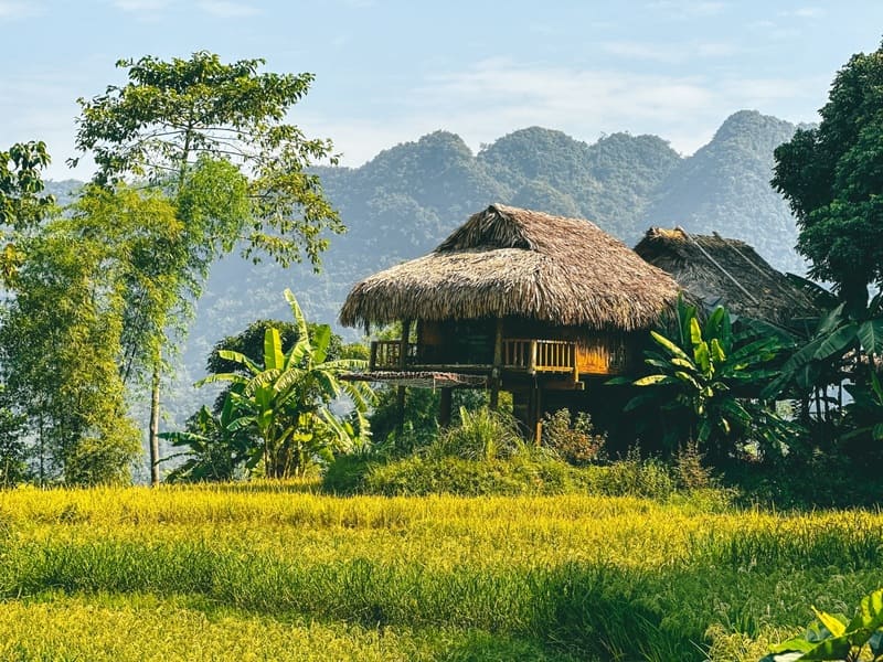 Discover Pu Luong the local way: All you need to know